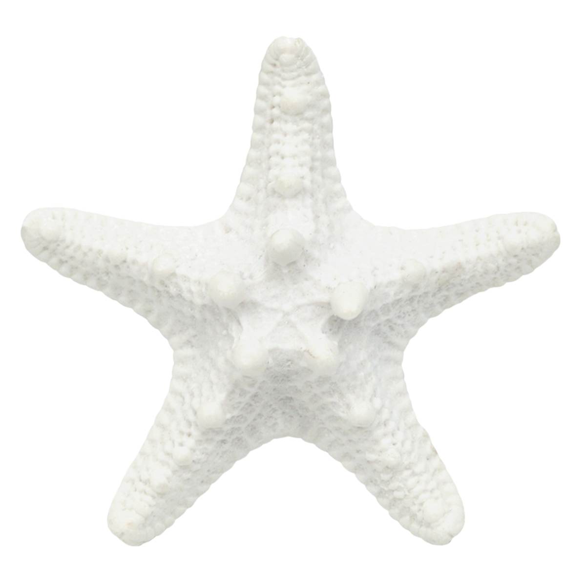 White Starfish