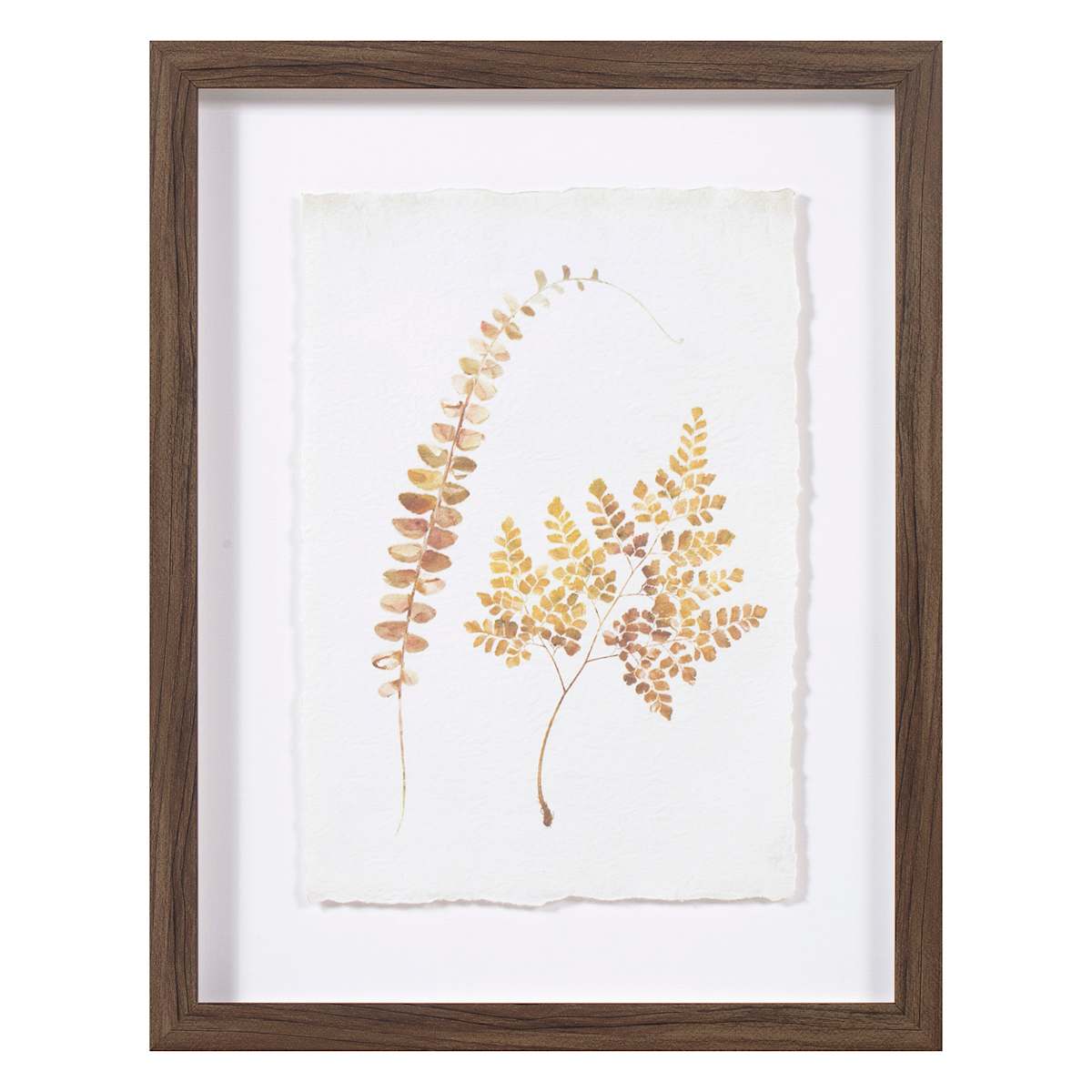 Honeybloom Glass Framed Leaf Print Wall Art, 11x14