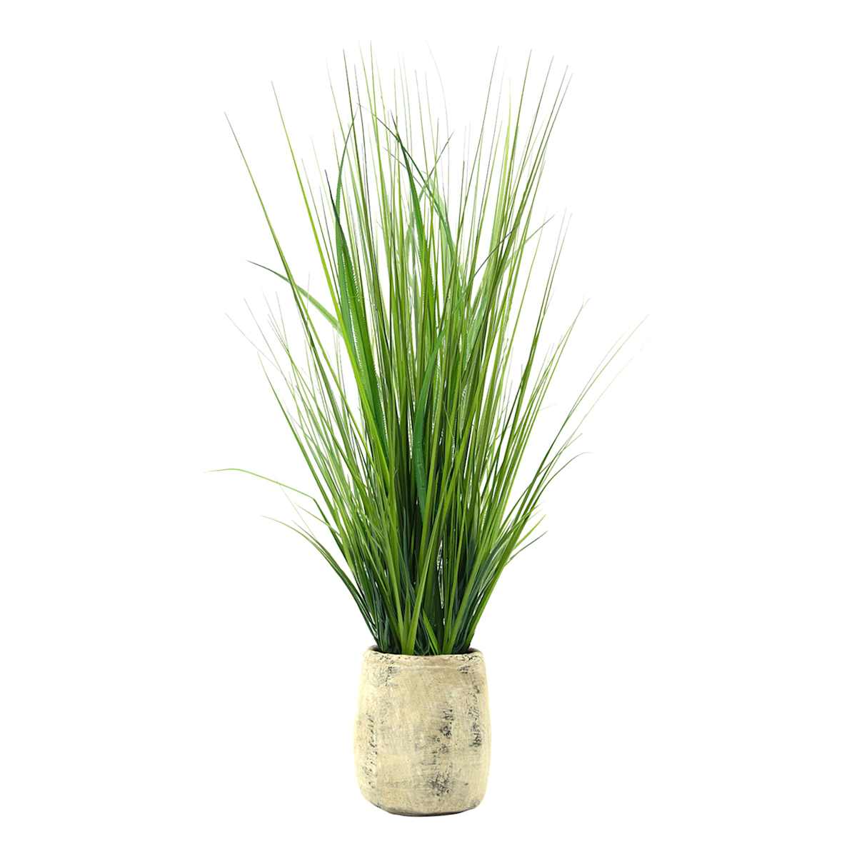 Ty Pennington Grass Bundle with MGO Vessel, 30"