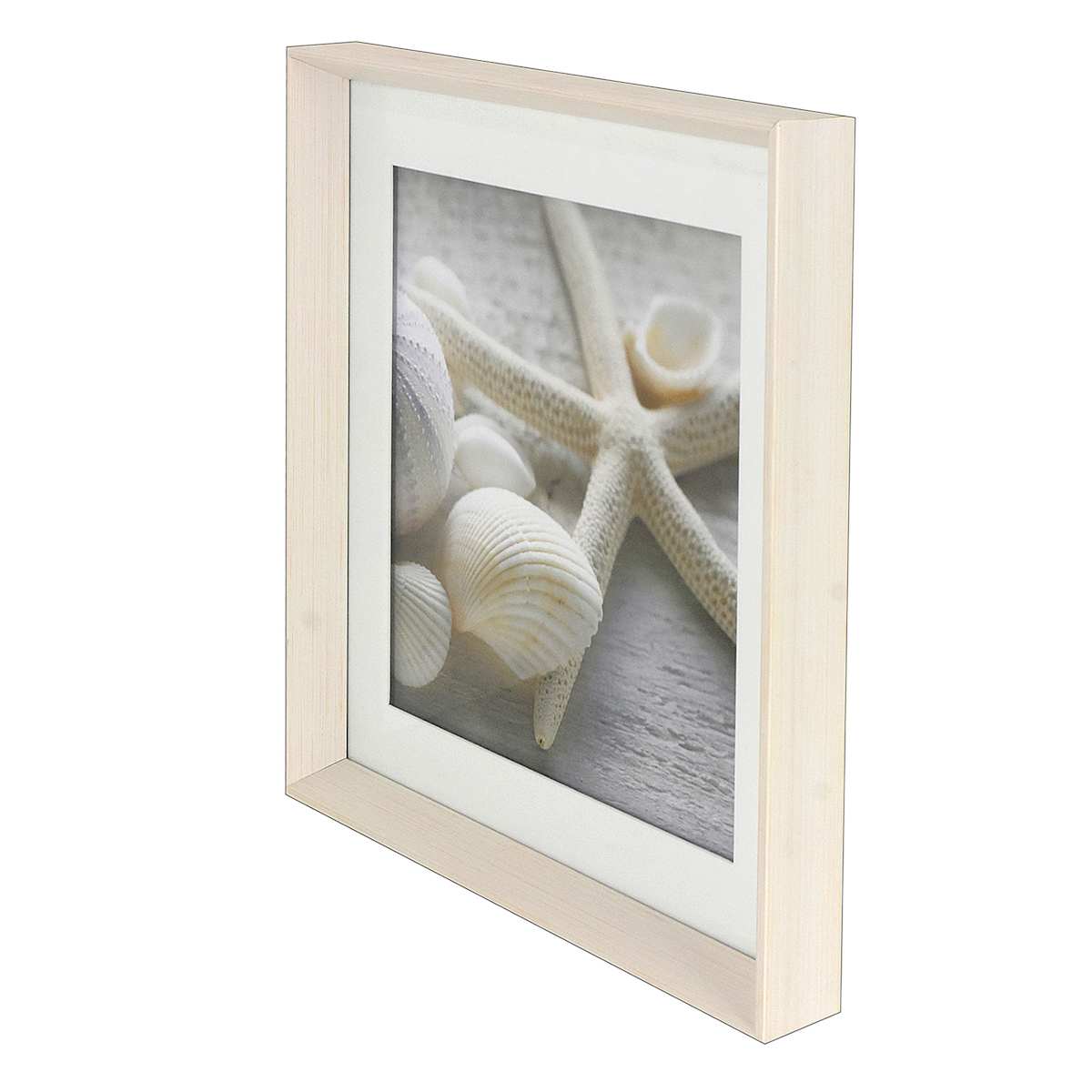 Ty Pennington Glass Framed Shells Print Wall Art, 16"