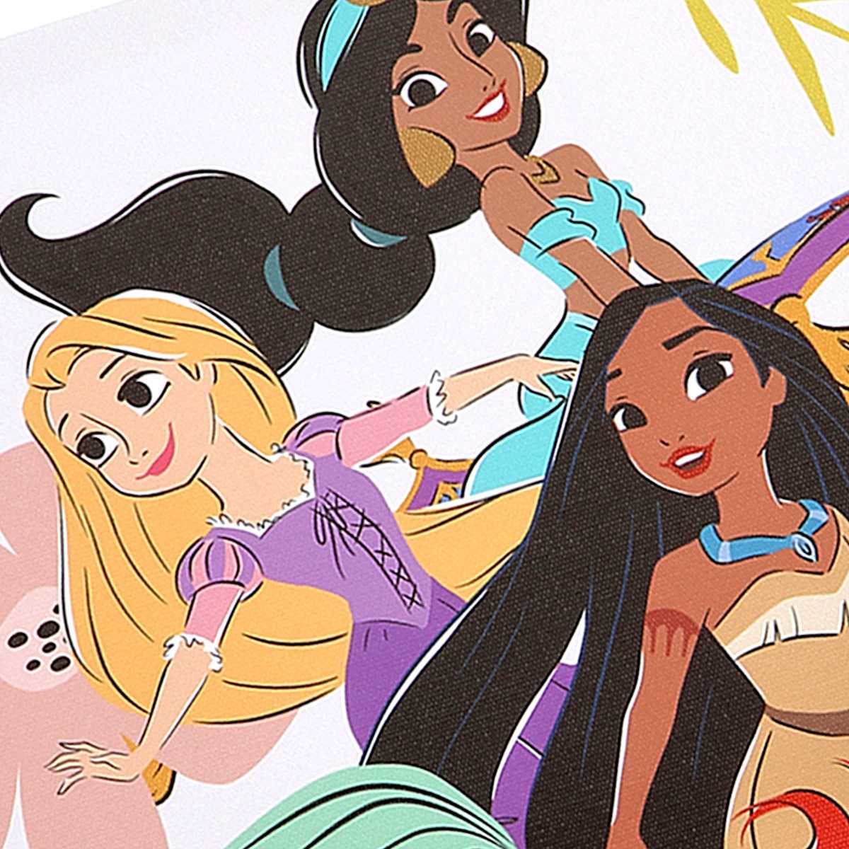 Disney Princess Canvas Wall Art, 11x14 | At Home