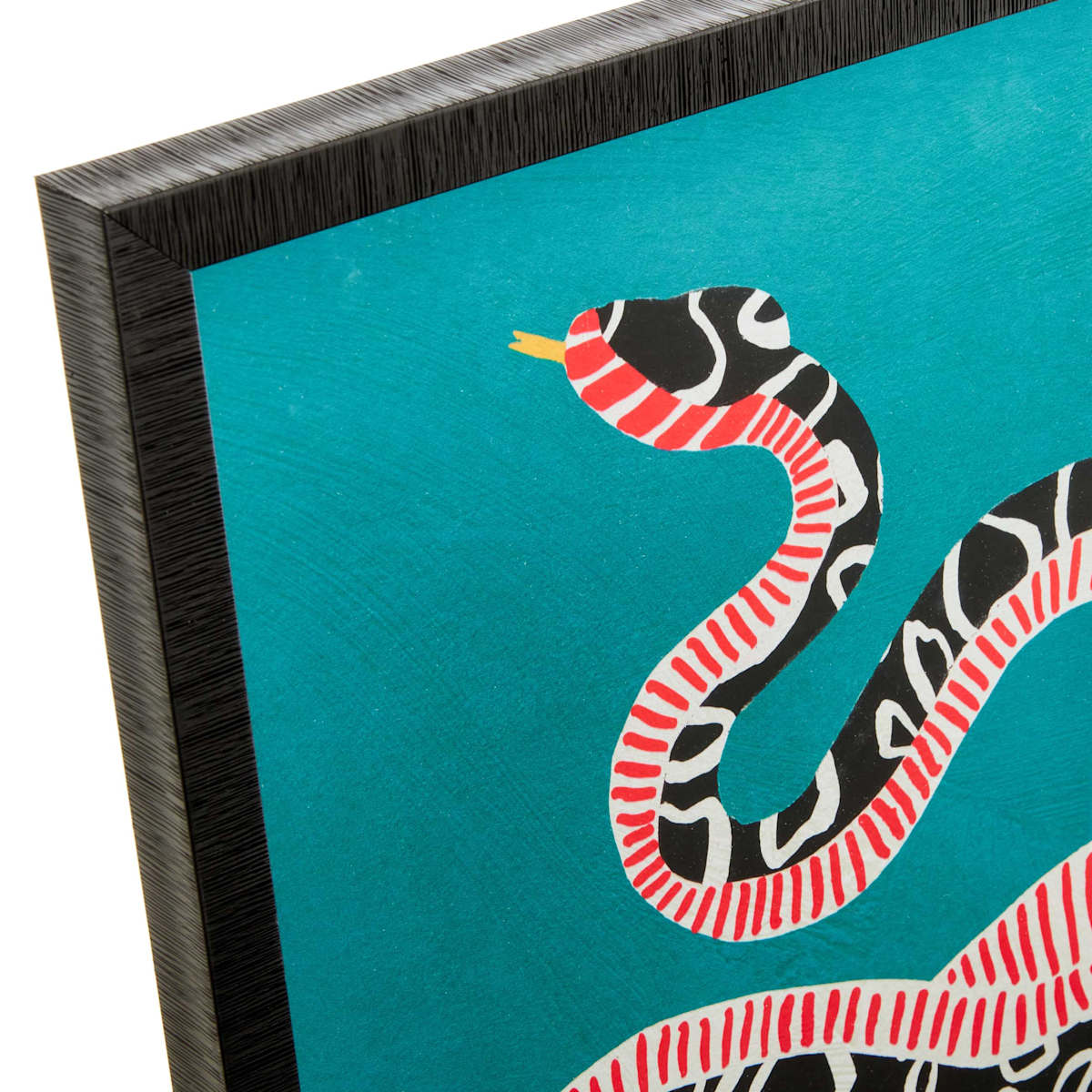 Glass Framed Snake Print Wall Art, 19x25