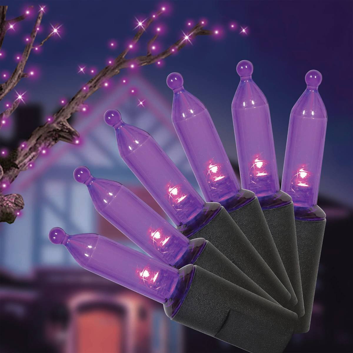 70-Count LED Purple Mini Lights | At Home