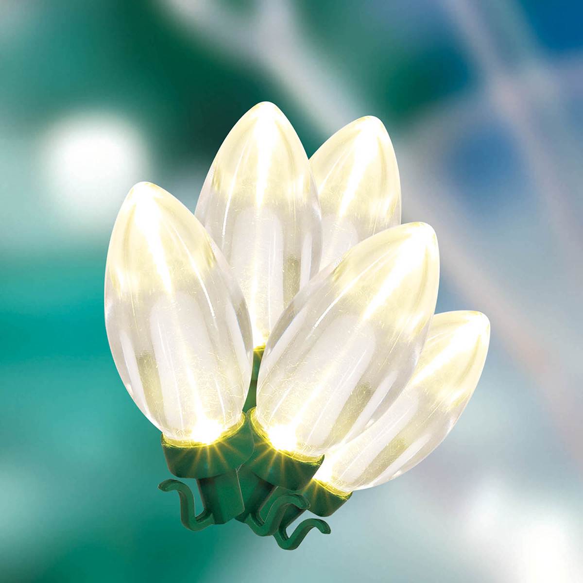 LED Transparent Warm White C9 String Lights 70-count | At Home