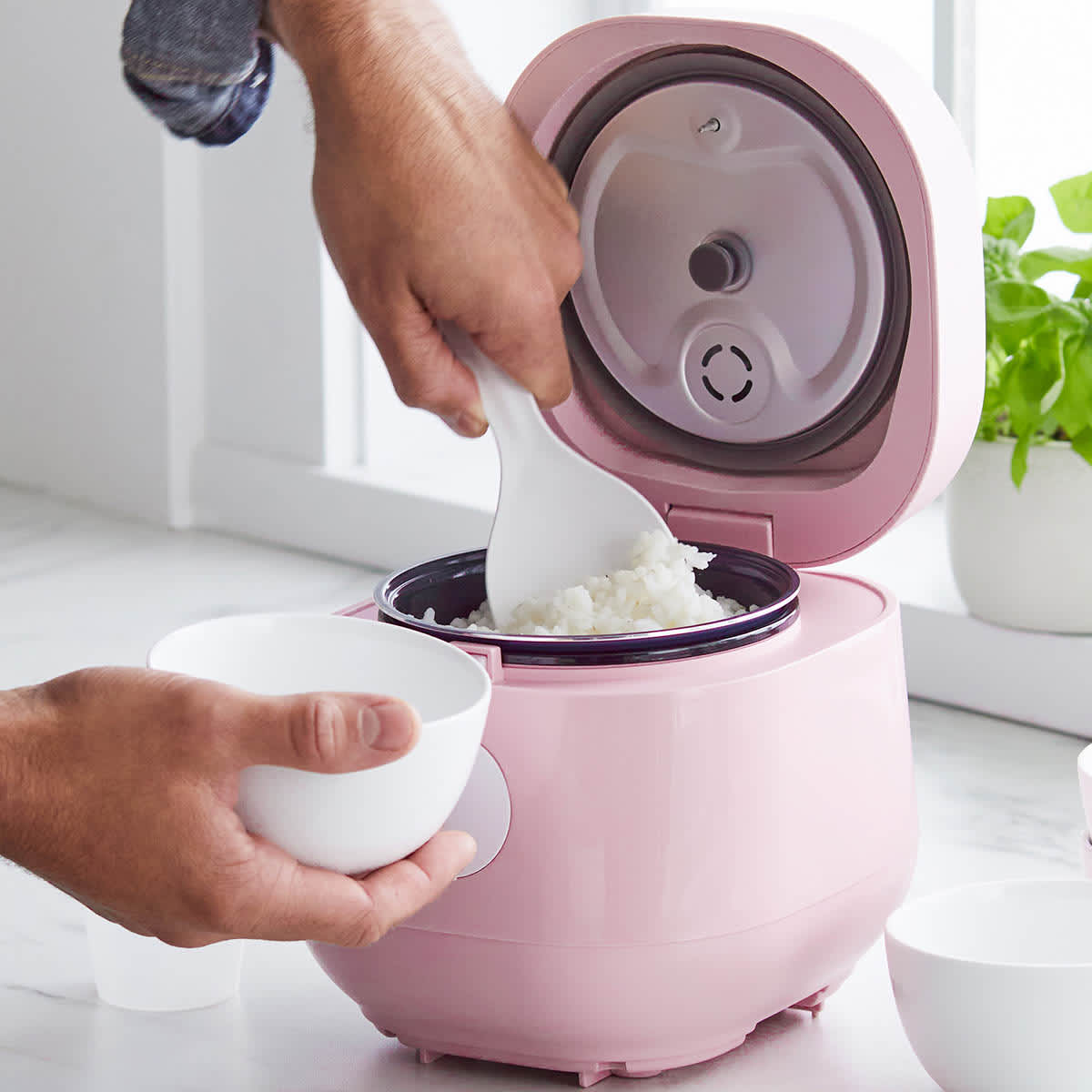 GreenLife Rice Cooker, Pink