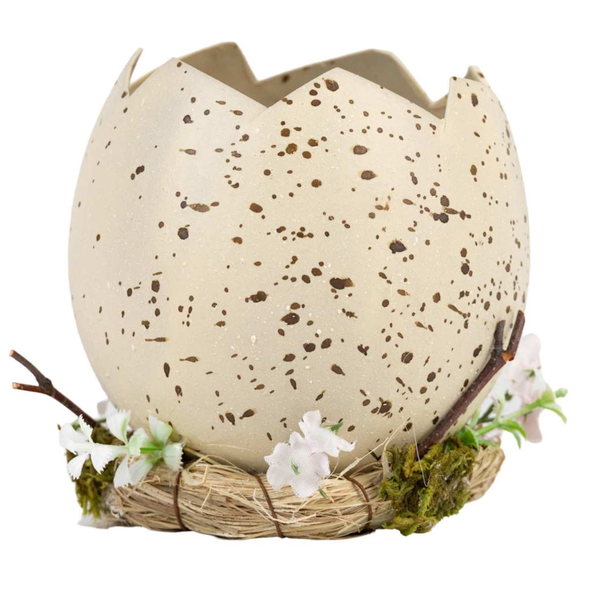 Honeybloom Natural Hatched Egg Shell Table Decor, | At Home