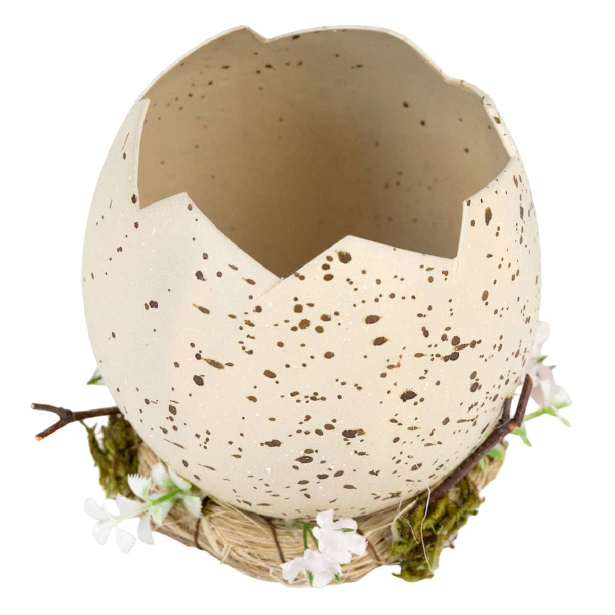 Honeybloom Natural Hatched Egg Shell Table Decor, | At Home