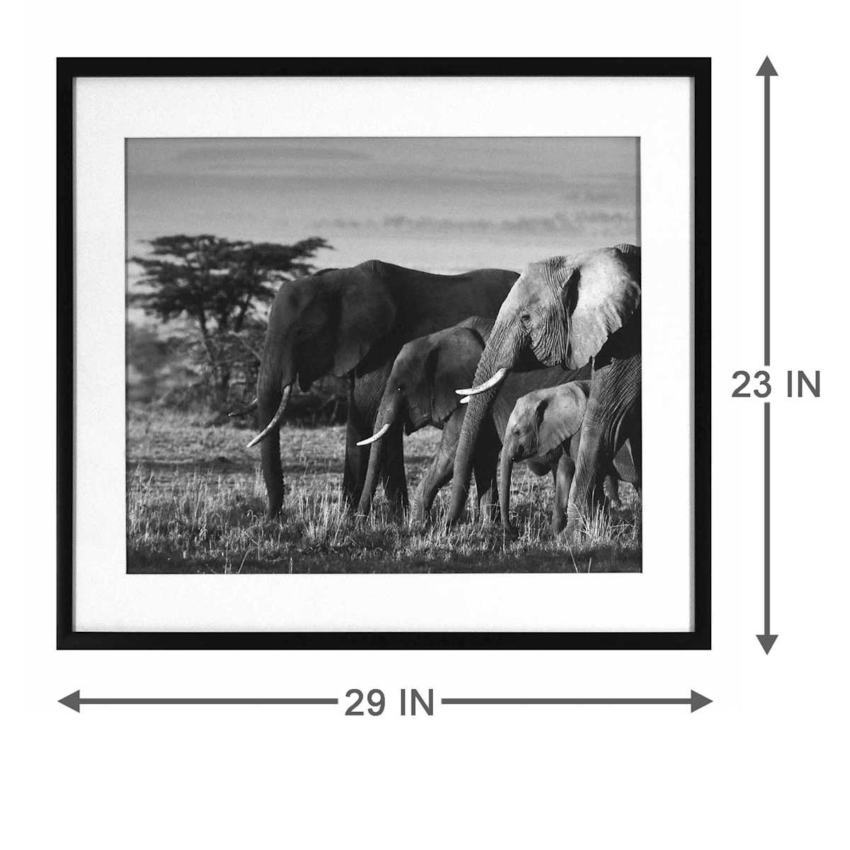 Glass Framed African Elephants Print Wall Art, 29x23