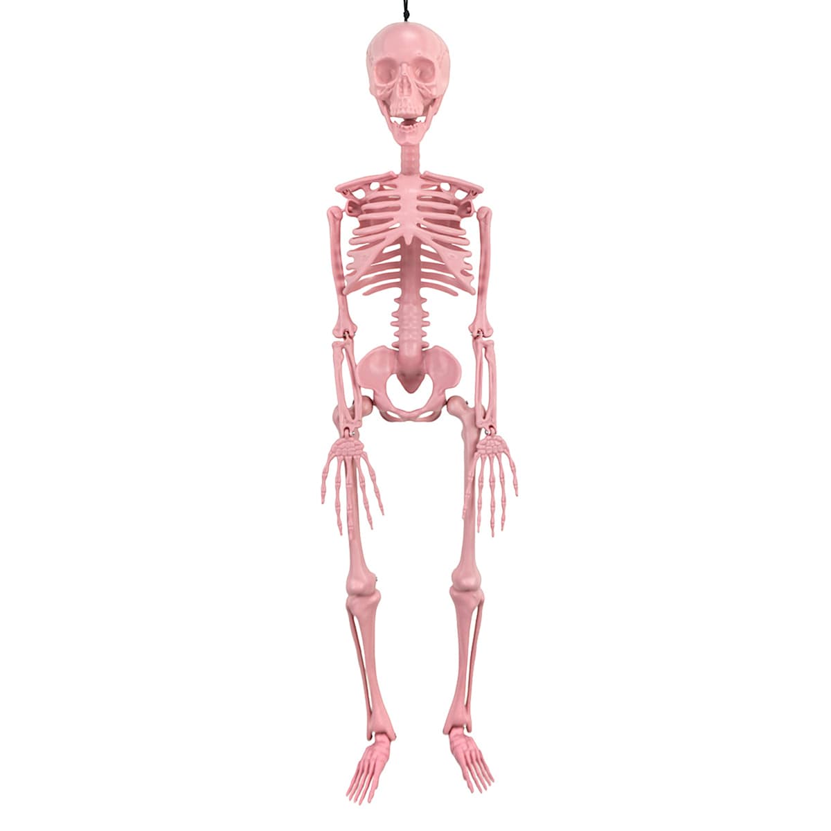 Pink Skeleton, 36"