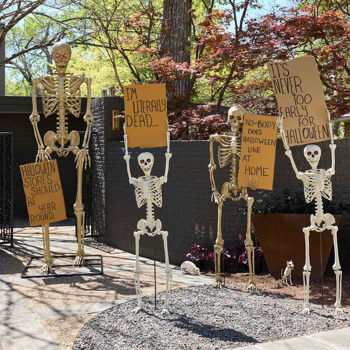 Posable Life-Size Halloween Skeleton, 5' | At Home