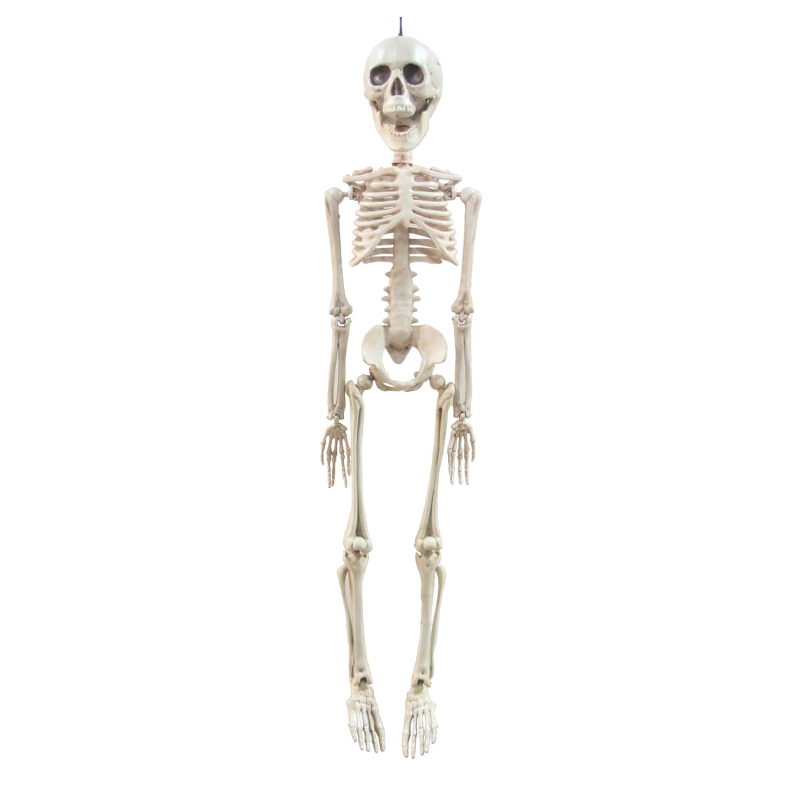 Hanging Halloween Skeleton, 20" | At Home