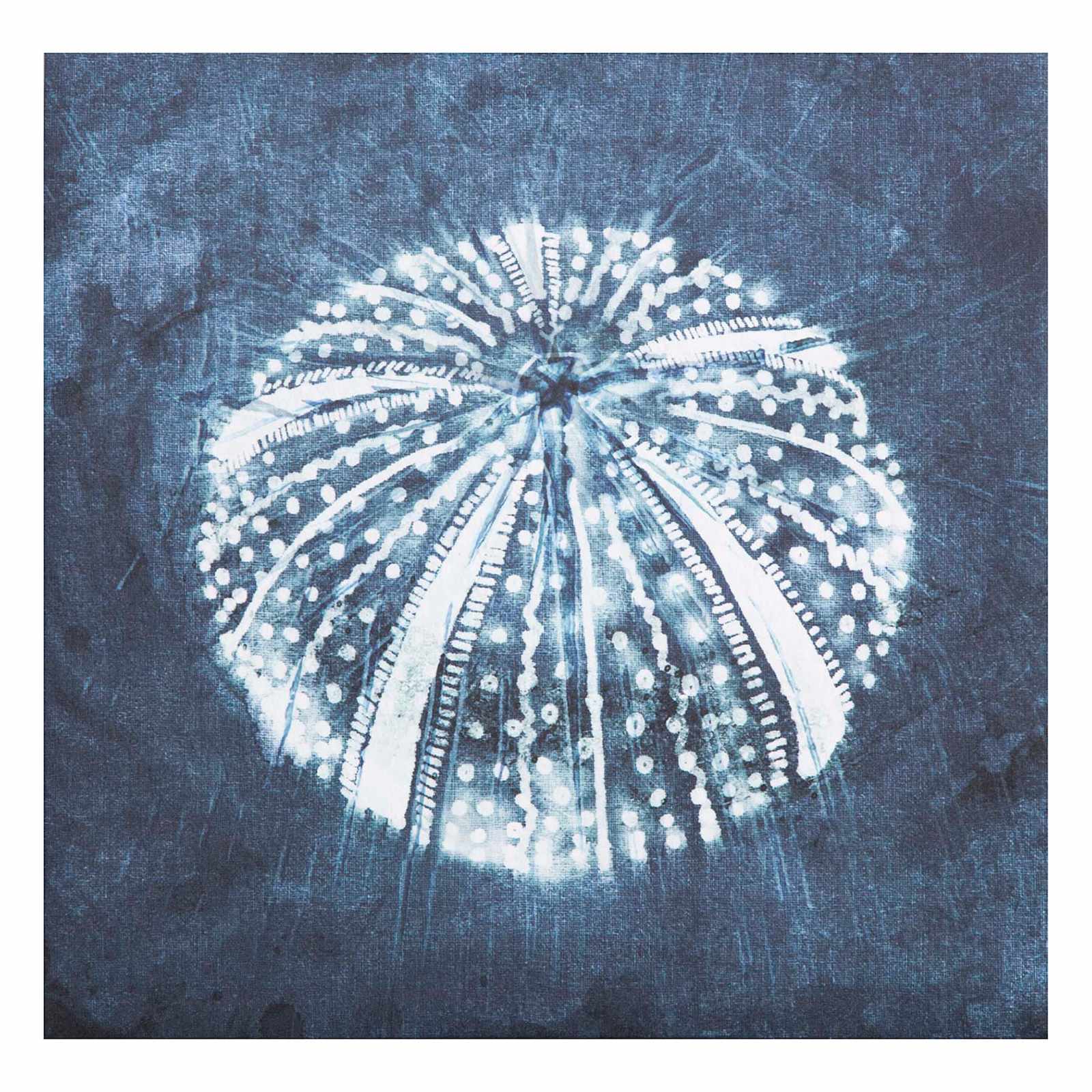Ty Pennington Navy Blue Sea Urchin Shell Canvas Wall Art, 14"