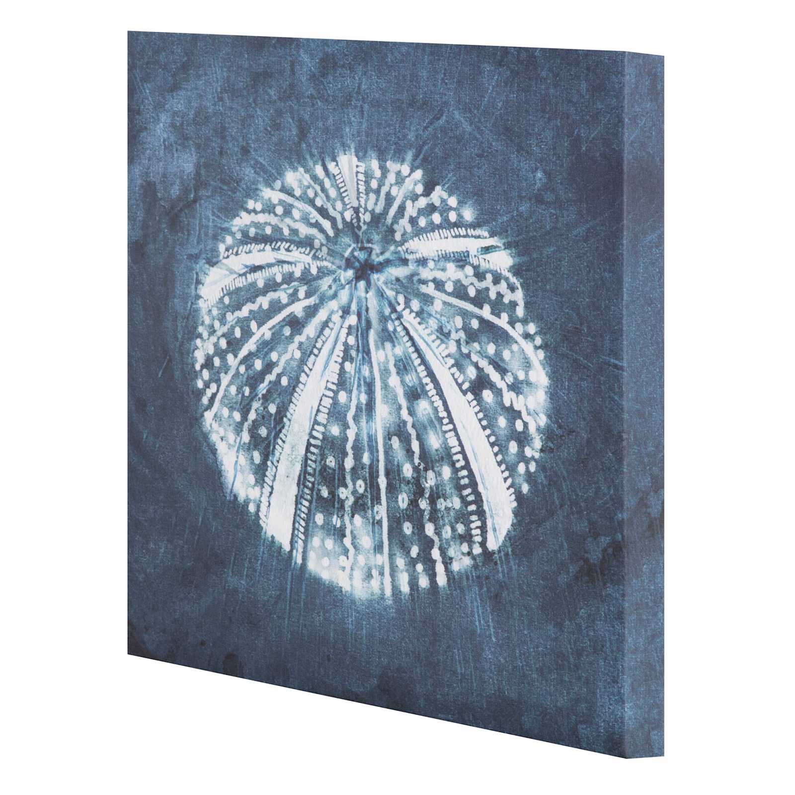 Ty Pennington Navy Blue Sea Urchin Shell Canvas Wall Art, 14"