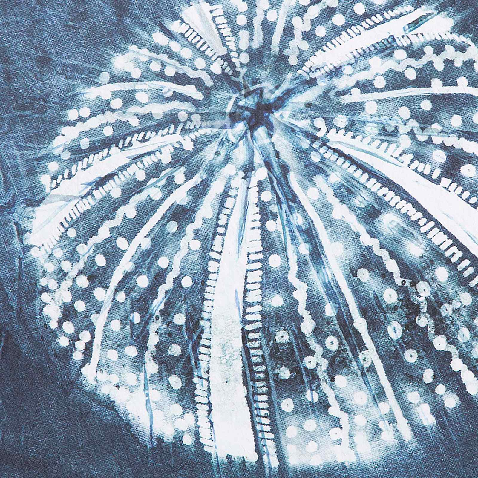 Ty Pennington Navy Blue Sea Urchin Shell Canvas Wall Art, 14"