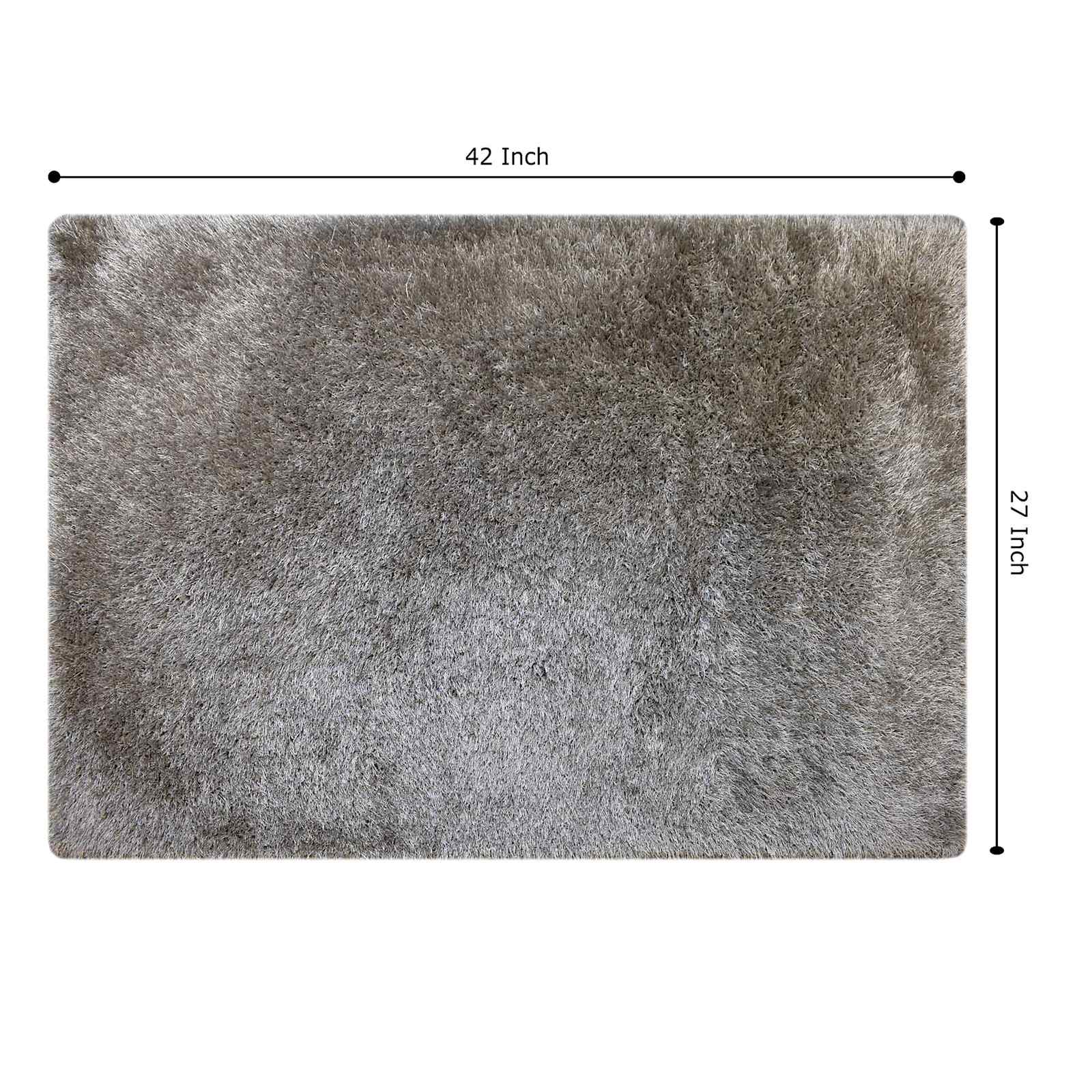 Eve Silver Shag Accent Rug, 27x42