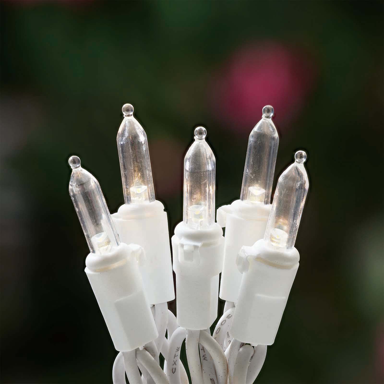 Warm White LED String Lights – White Wire