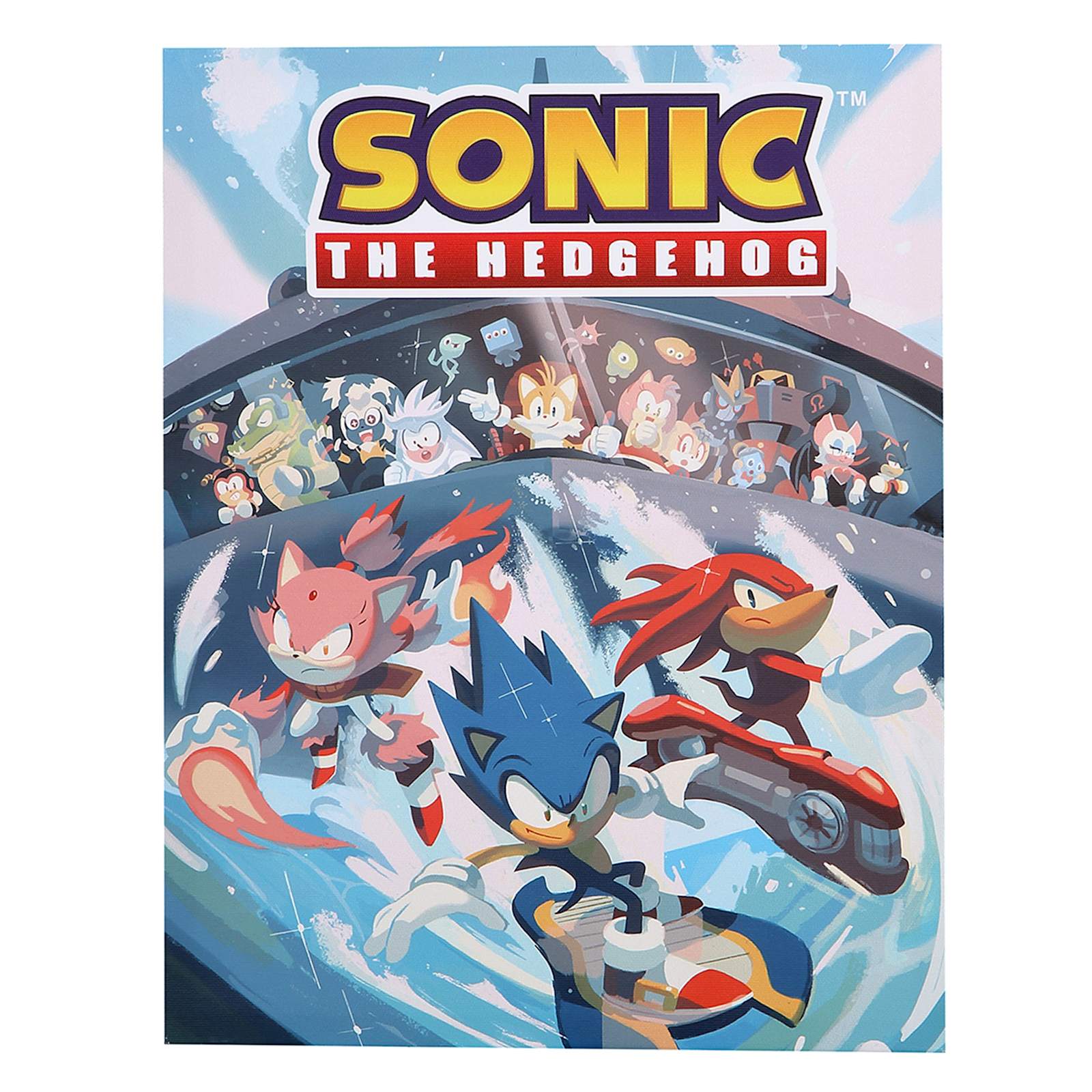 Sonic Canvas Wall Art, 11x14