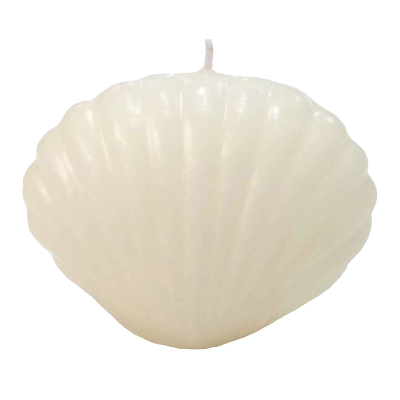 Ty Pennington Large White Shell Shaped Unscented Candle, 4"