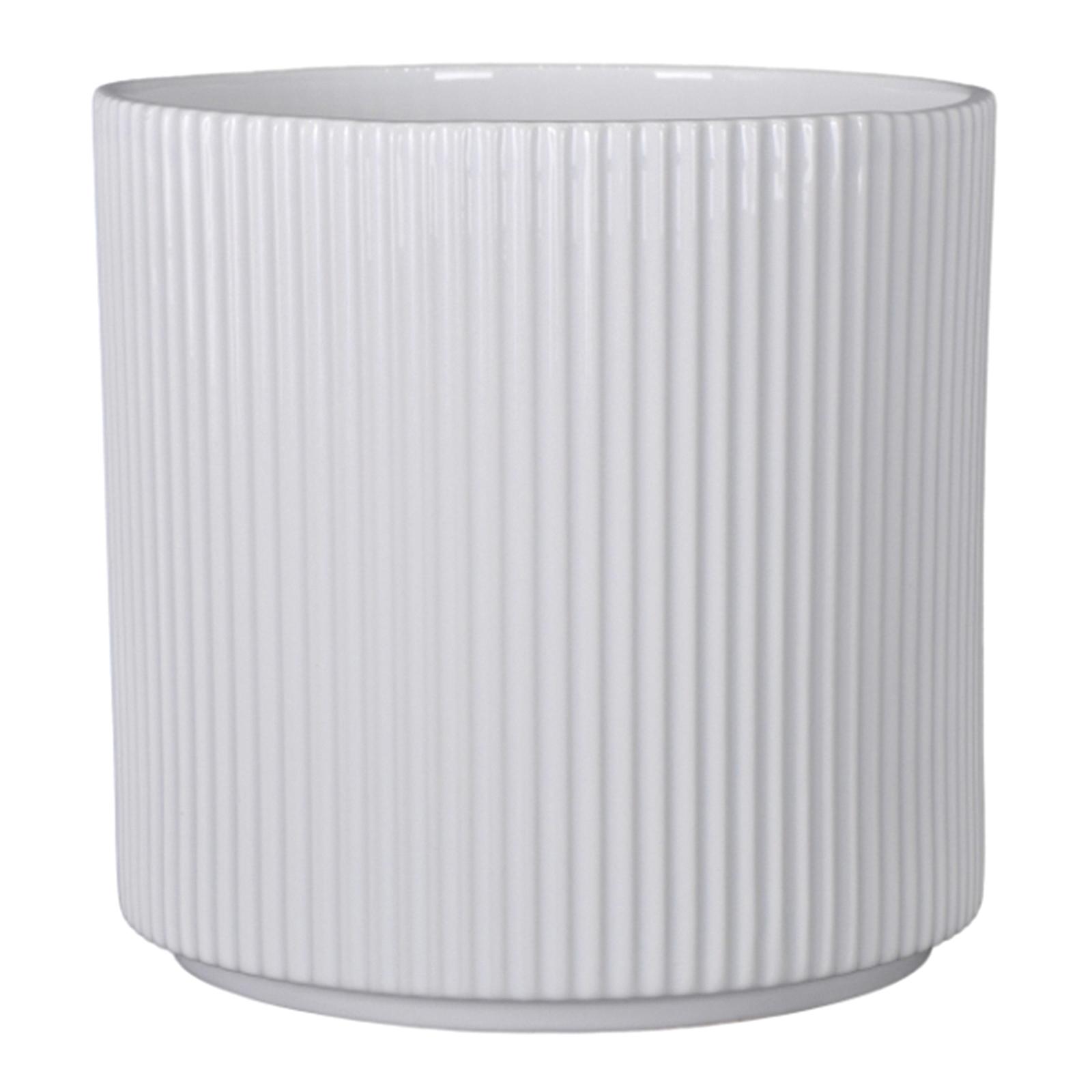 Indoor Zeb White Shiny Pot, Small | At Home
