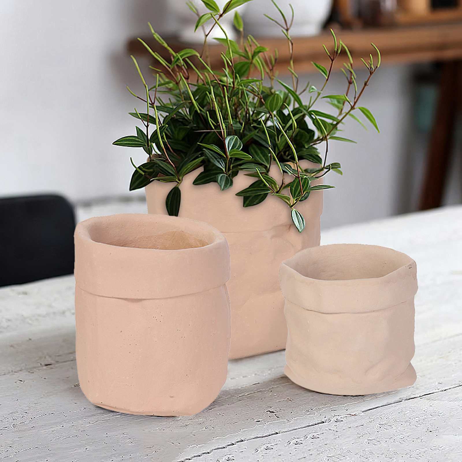 Honeybloom Indoor Paper Bag Planter, 3.9"