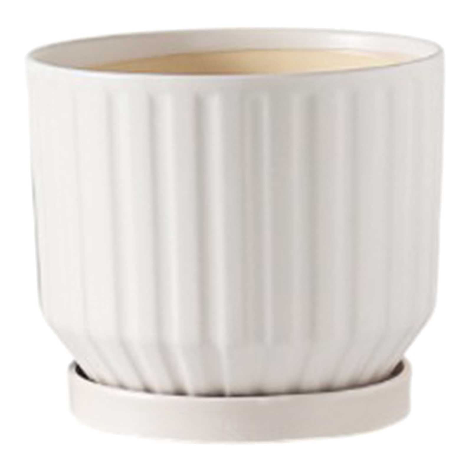 Indoor White Mat Ceramic Planter, Medium | At Home