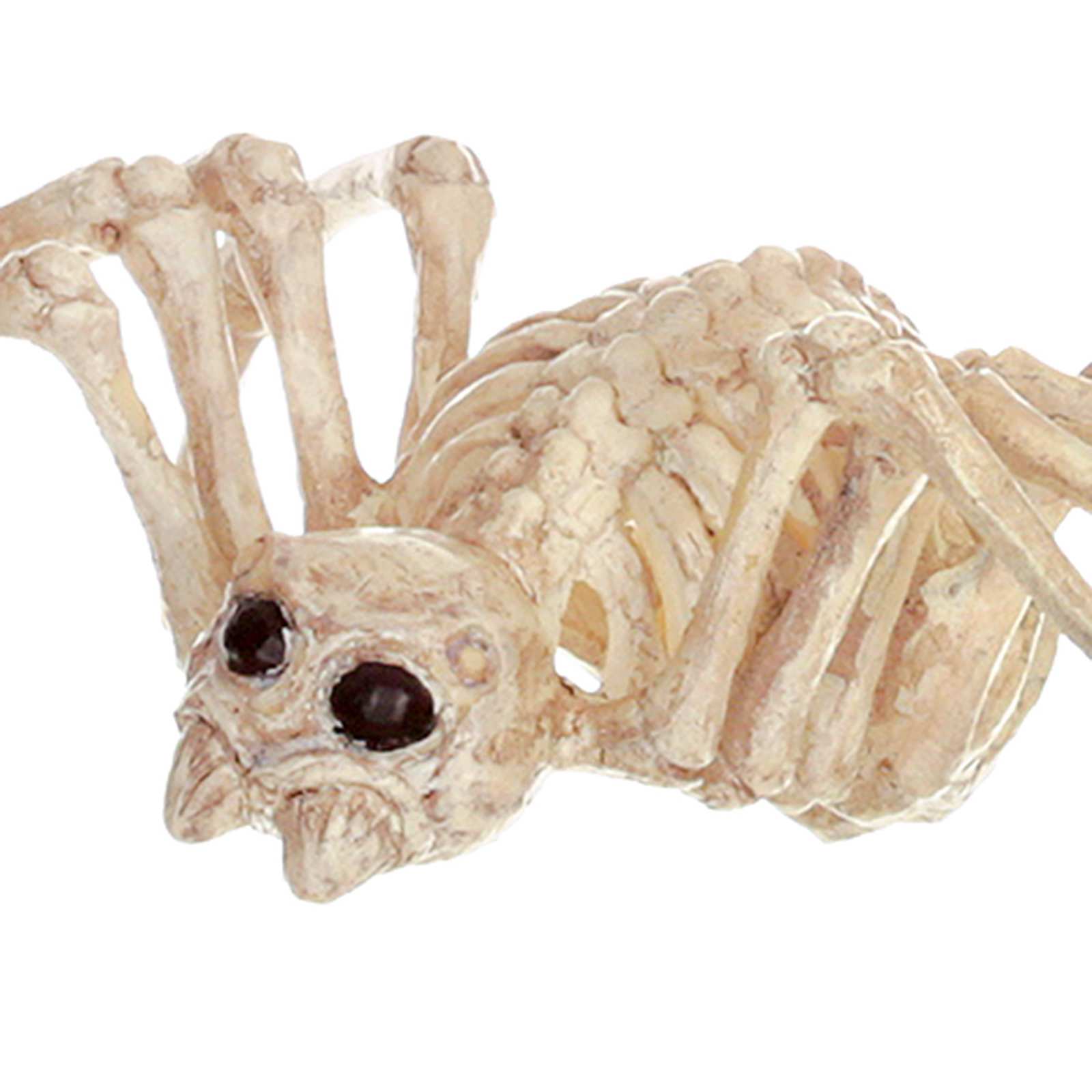 Halloween Mini Spider Skeleton | At Home
