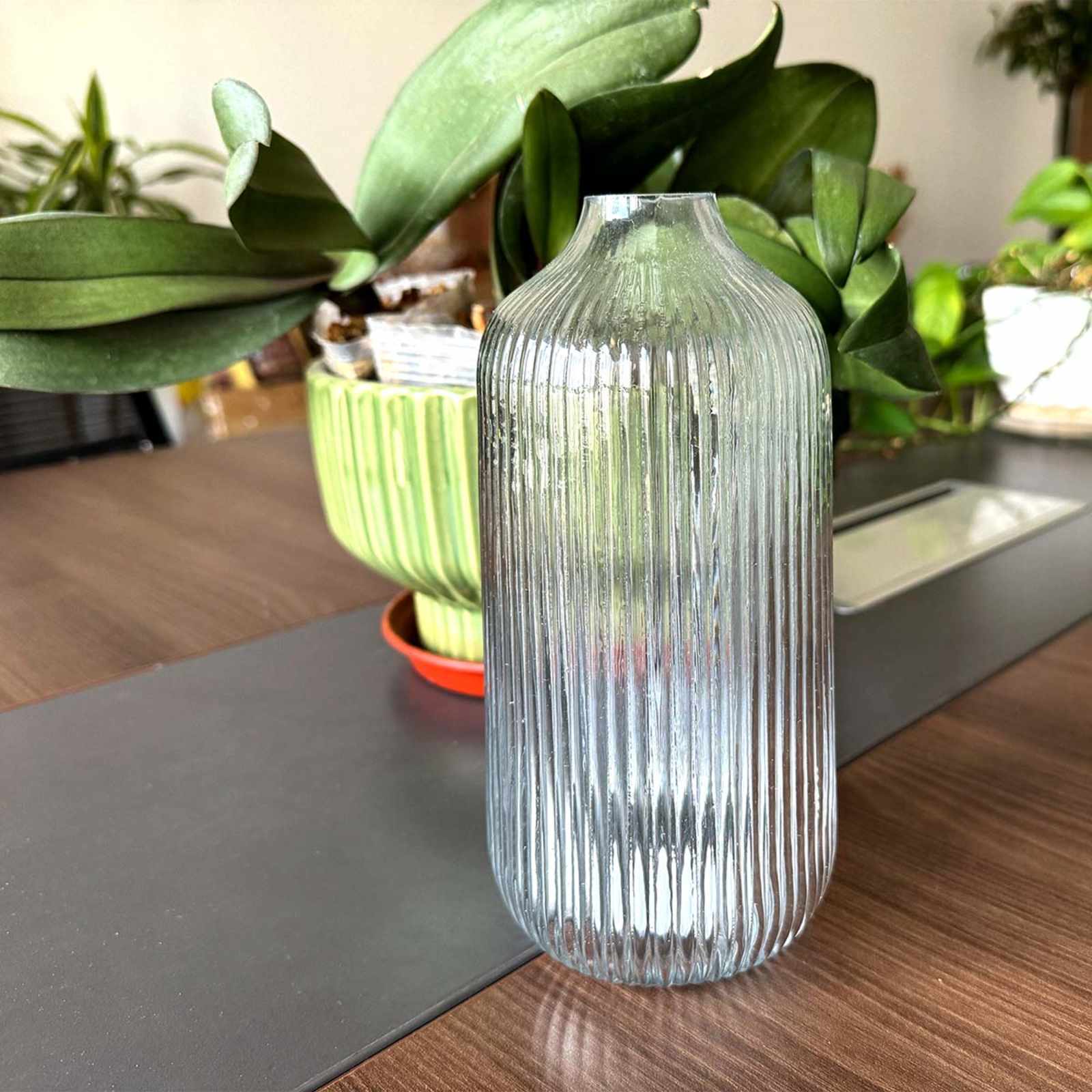 8in Ribbed Clear Short Stem Glass Vase