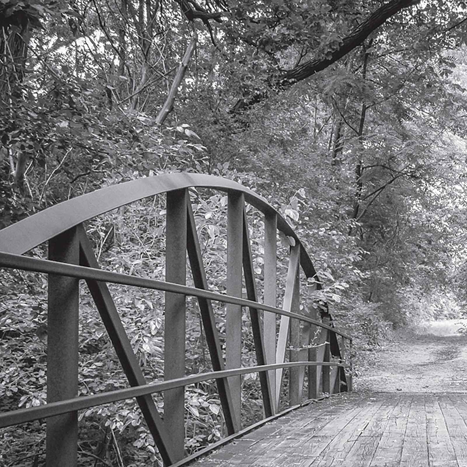 Forest Bridge Canvas Wall Art, 40x30 | At Home