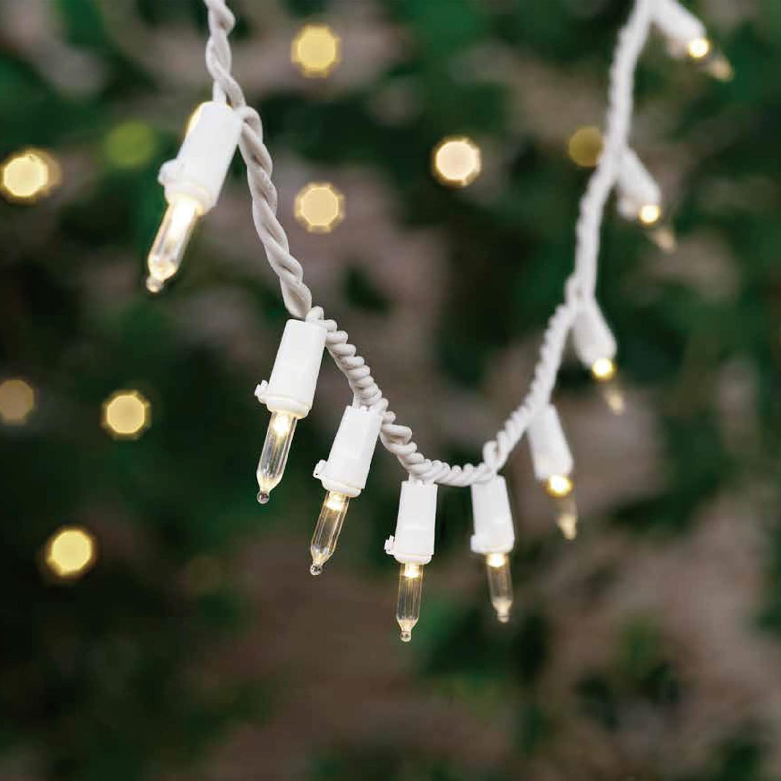 100-Count Warm White LED Mini Lights with White Wire