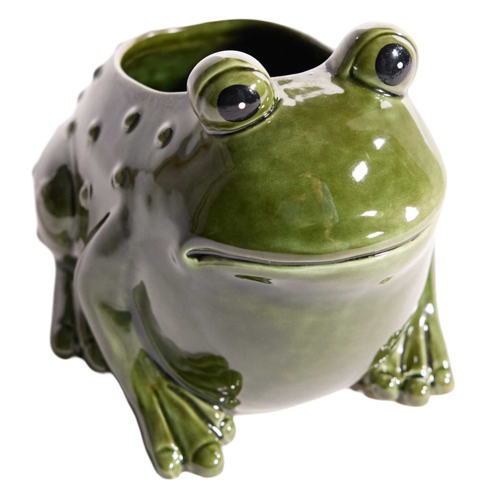 Honeybloom Indoor Green Ceramic Frog Planter | At Home