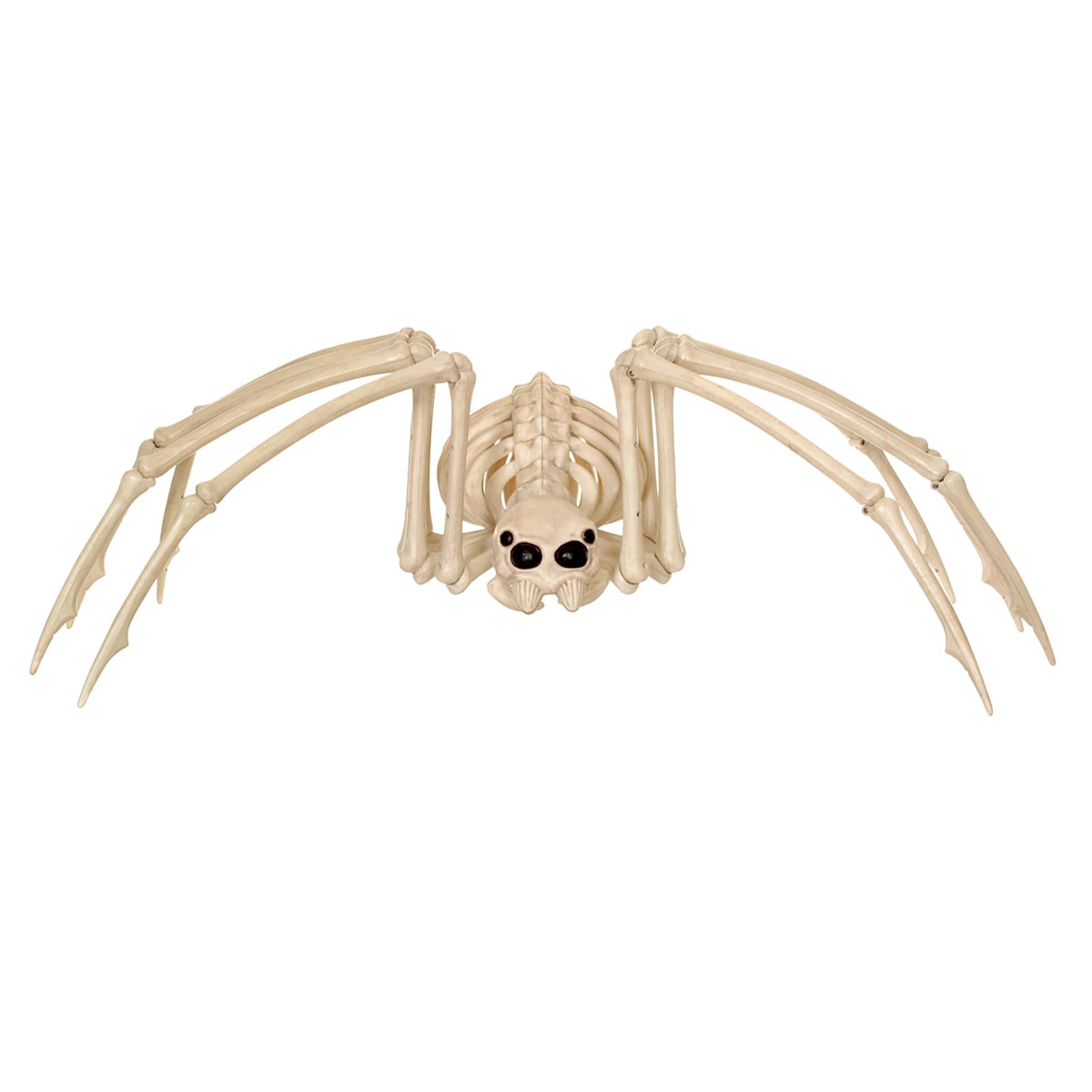Spider Skeleton, 40.5" | At Home