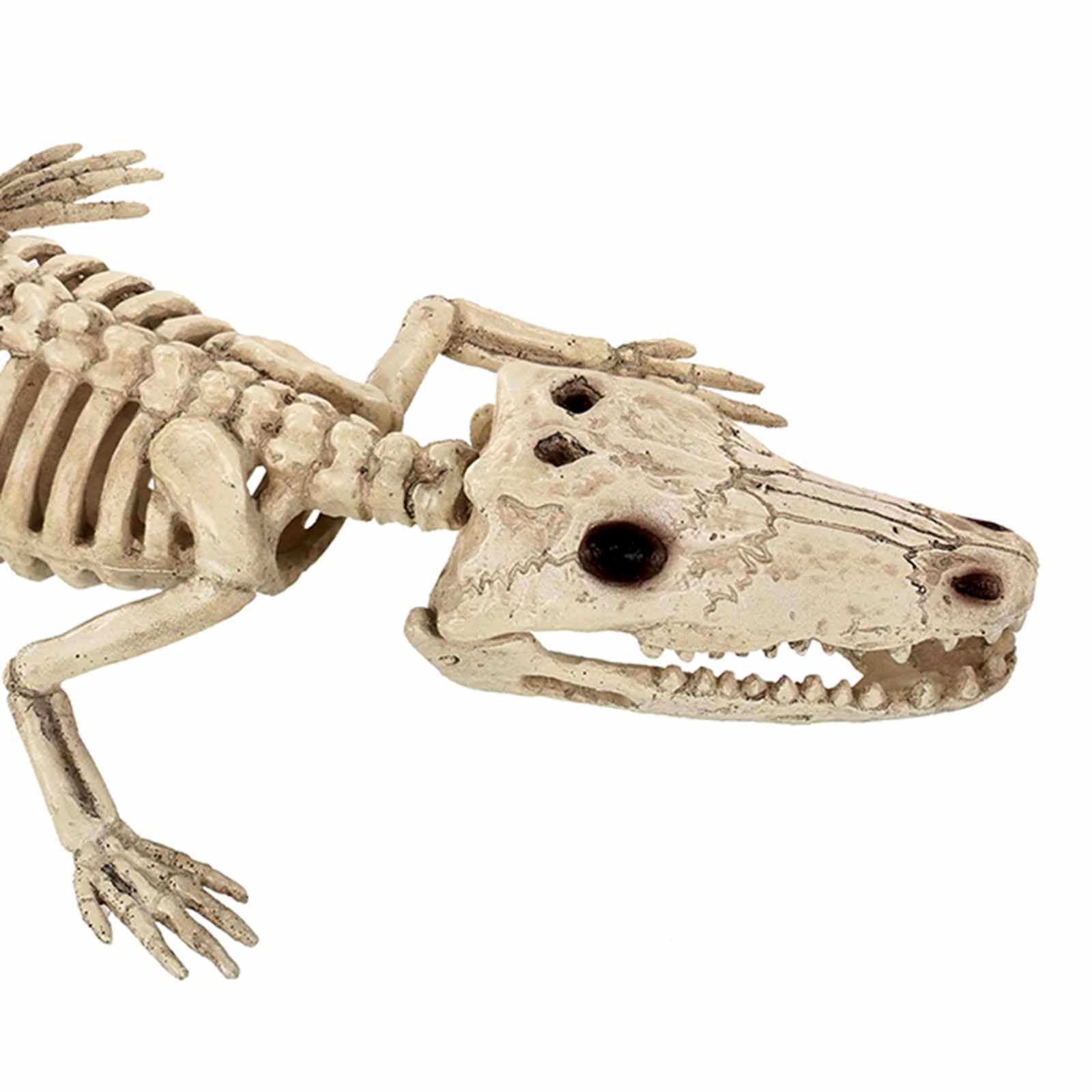 Halloween Alligator Skeleton, 9.5" | At Home