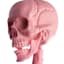 Pink Skeleton, 36"