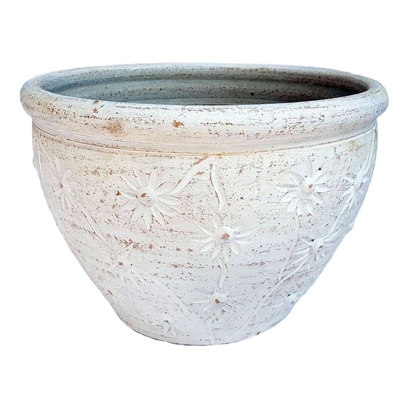 Indoor Thai Chamomile White Clay Pot, Medium | At Home