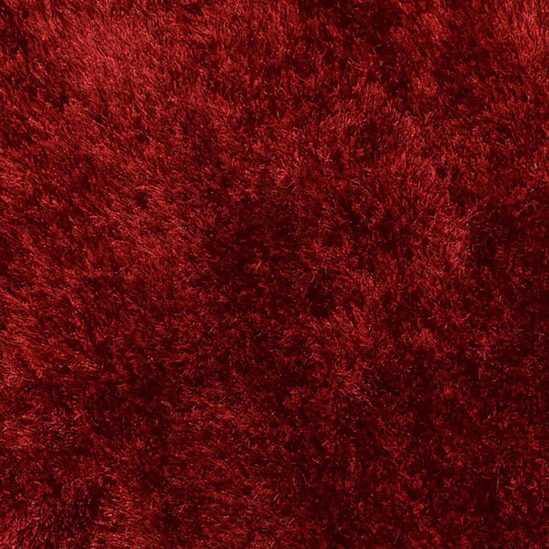 Eve Red Shag Area Rug 4x7 | At Home