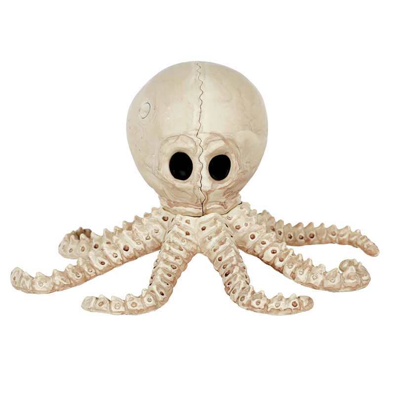 Cute Halloween Octopus Skeleton, 4.5" | At Home