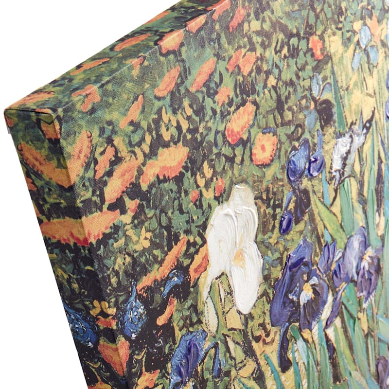 Irises Canvas Wall Art, 36x27