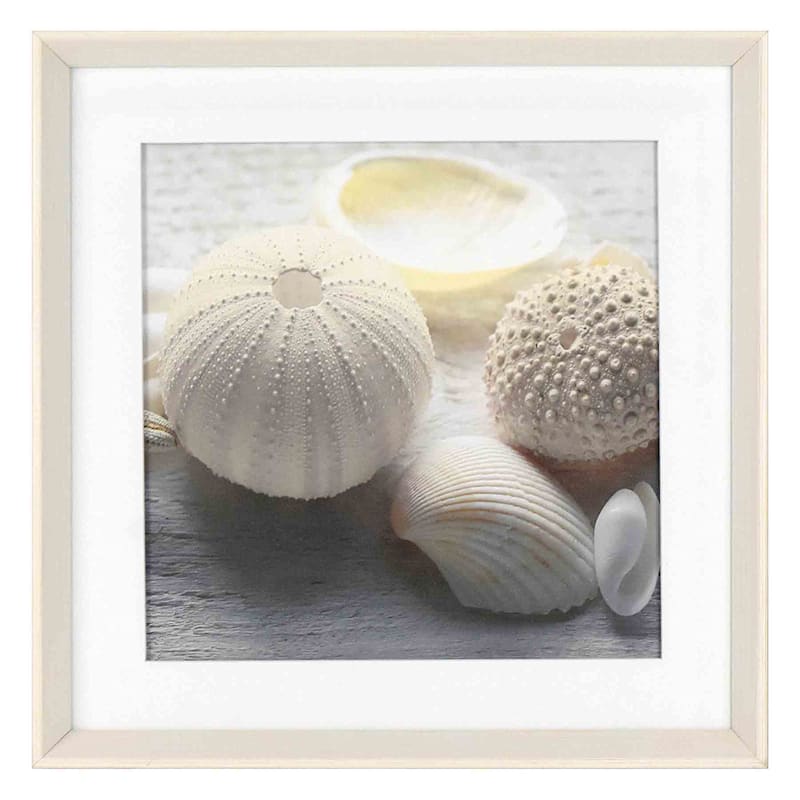 Ty Pennington Glass Framed Shells Print Wall Art, 16"