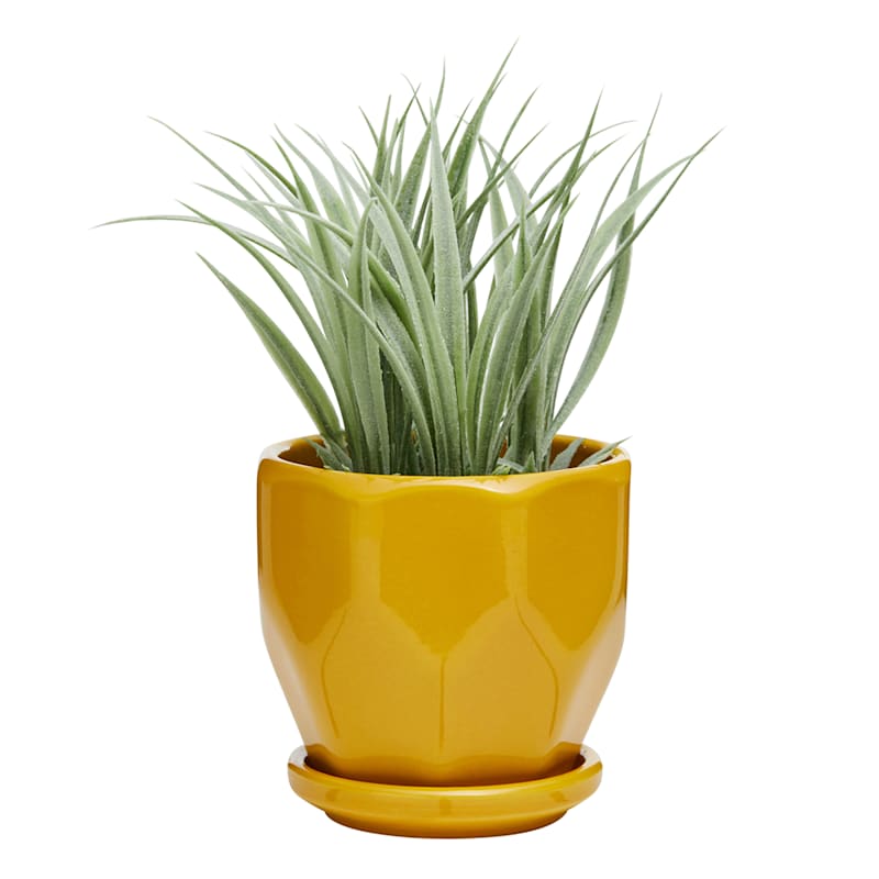 Indoor Hexa Yellow Ceramic Pot, Extra Small | At Home
