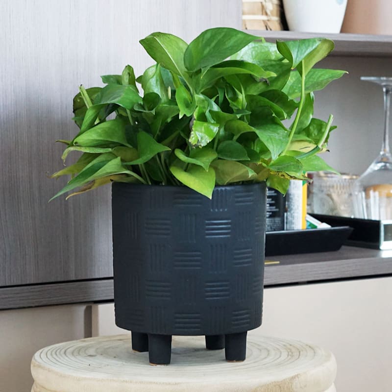 Indoor Mod Black Footed Ceramic Pot Medium | At Home