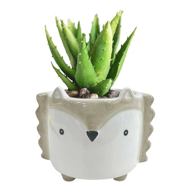 Indoor Mini Hedgehog Planter, 4