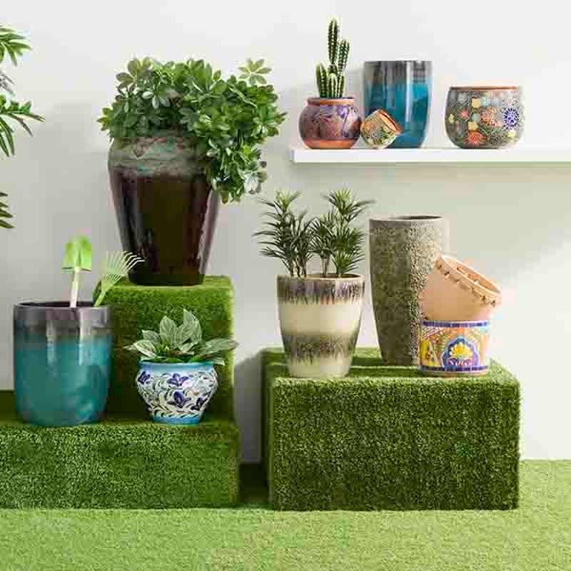 Callie Planter, Small