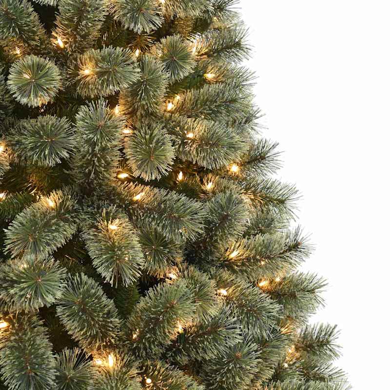 7.5ft Pre-Lit Sugar Cashmere Pine Christmas Tree | At Home