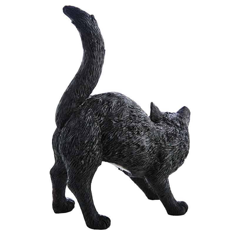 Spellbound Lighted Black Cat, 8" | At Home